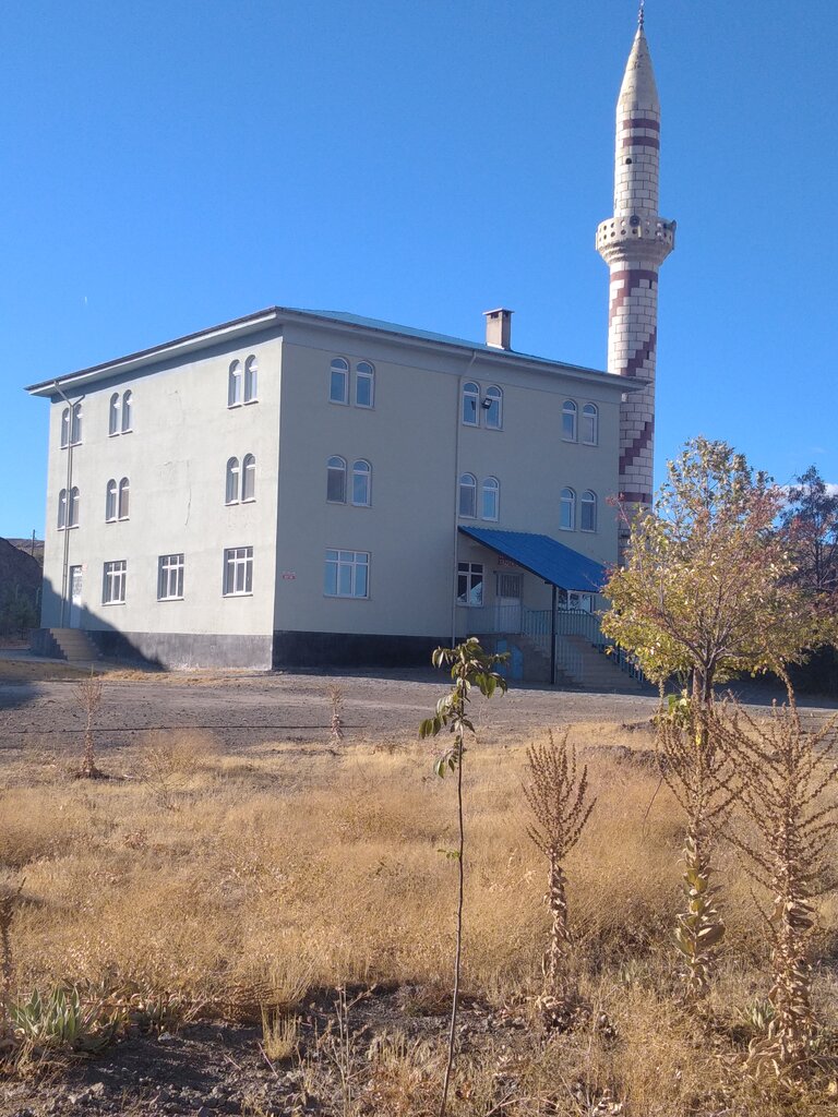 Cami Yeniköy Köyü Kengerli Mezrası Cami, Karakoçan, foto