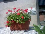Casa Giardinetto (Piedmont, Provincia del Verbano-Cusio-Ossola, Piazza San Carlo, 7), otel  Piyemonte'den