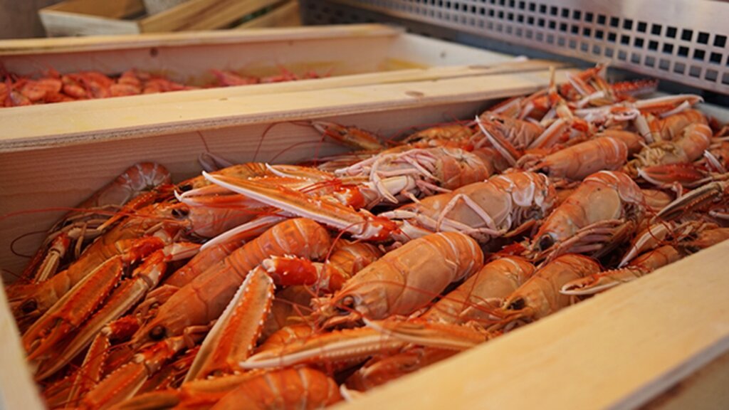 Market Skjærhalden Fiskemottak AS, Dünya, foto