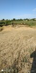 Playground (Saratov Region, Novouzensk, ulitsa Pushkina), oyun alanı  Novouzensk'ten