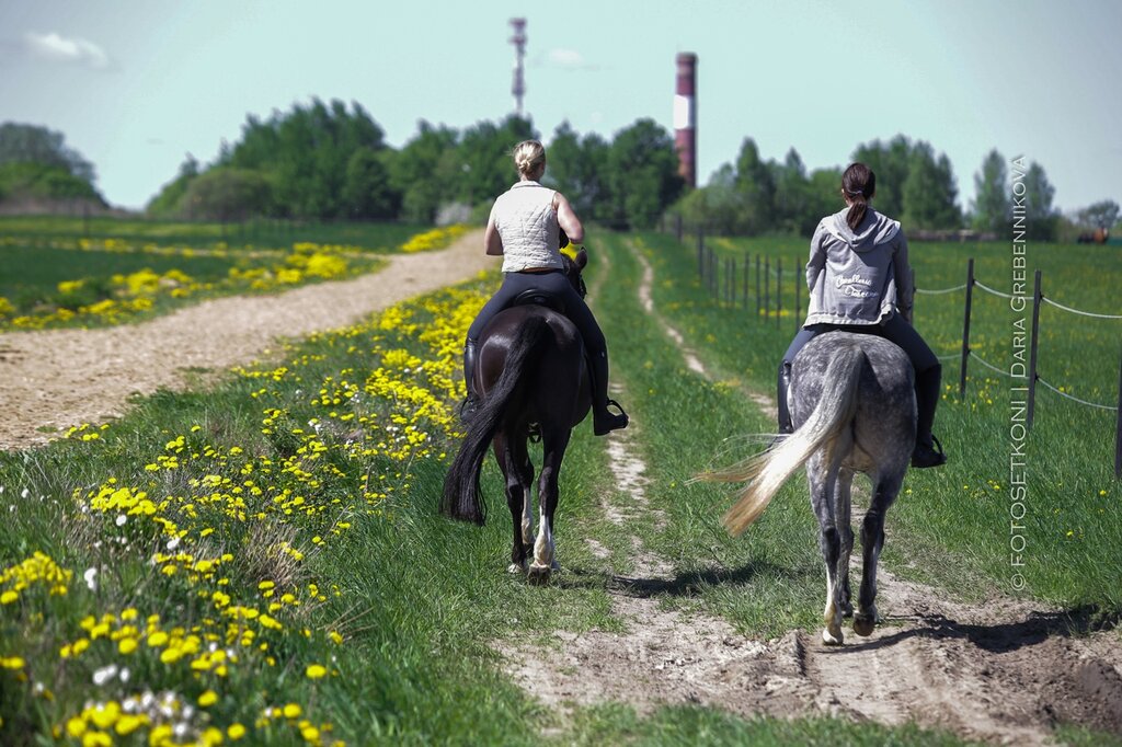 At ve binicilik kulüpleri Гамаюн, Moskova ve Moskovskaya oblastı, foto