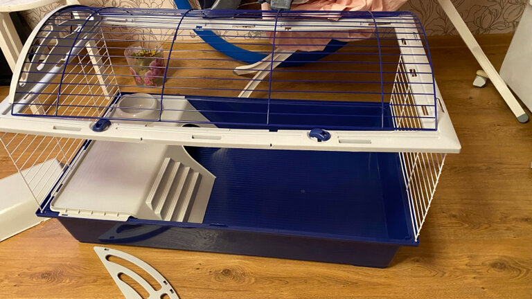 Petshop Юнизоо, Moskova, foto