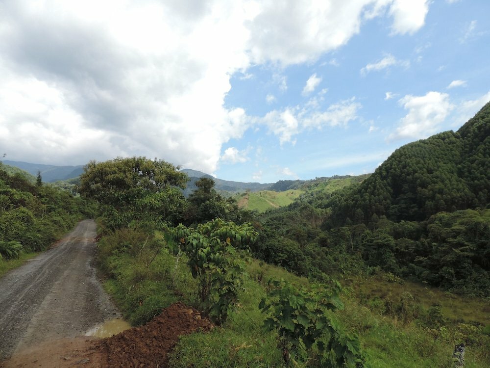 Otel Seeds & Roots Raíces y Semillas, , foto