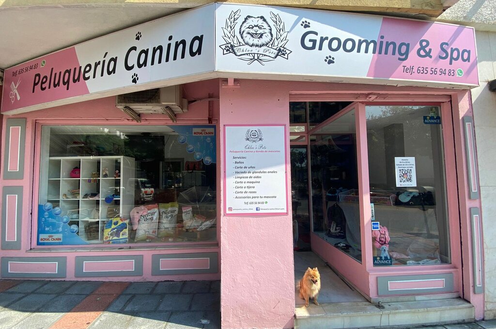 Evcil hayvan kuaförleri Chloe´s Pets, Marbella, foto