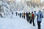 Agenzia AD Travel Alpine Dream (Lombardy, Sondrio, Via Roma, 135), seyahat acenteleri  Bormio'dan