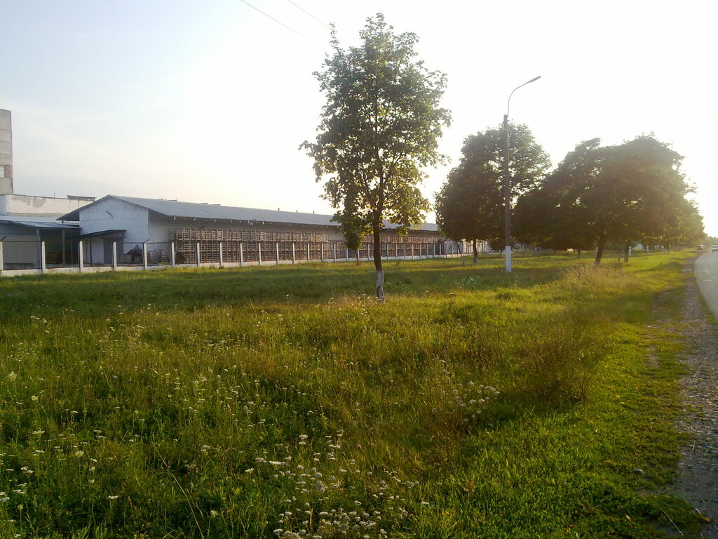 Gıda üreticileri Mensky syrzavod, Mena, foto