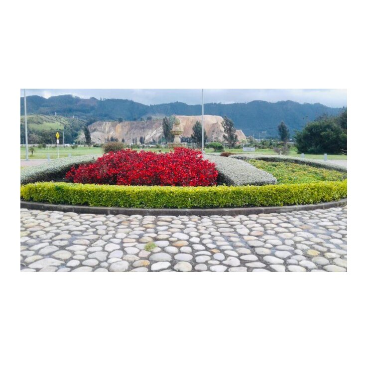 Bahçe ekipmanları ve teknolojileri Greenlands Ms SAS, Bogota, foto