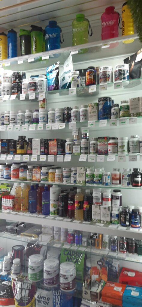 Spor beslenme Grizzly, Murom, foto