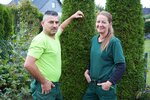 Bs Dienstleistungen (Lower Saxony, Hildesheim, Schützenstraße, 6), peyzaj tasarımı  Aşağı Saksonya'dan