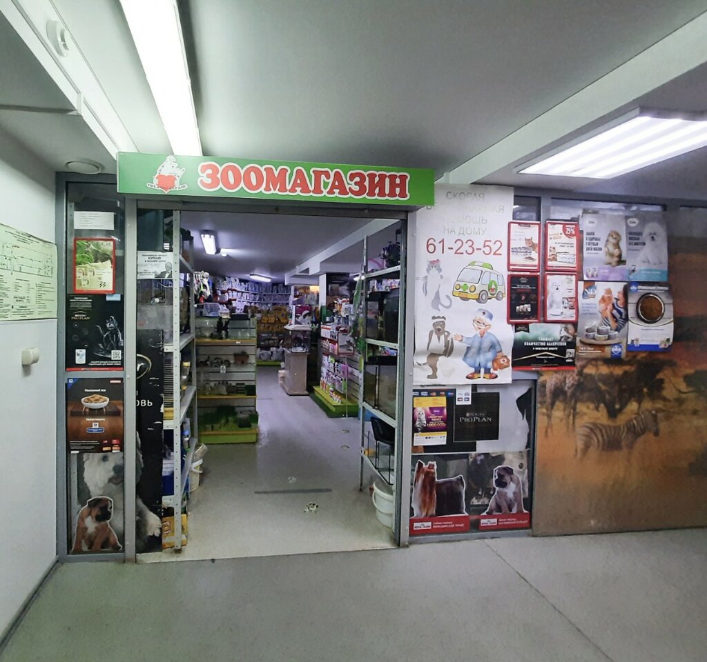 Petshop Собачье сердце, Tiumen, foto