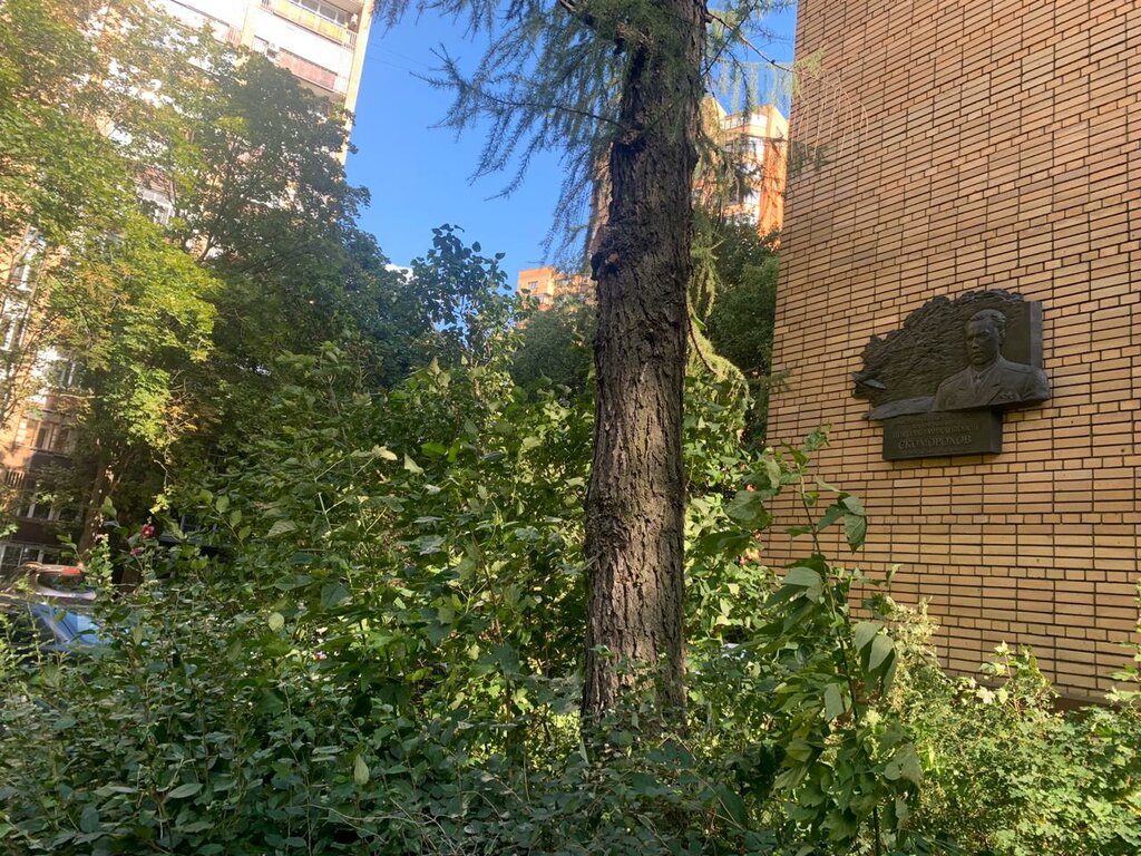 Anıt levhası, anıt taş Скоморохову Николай Михайлович, Moskova, foto