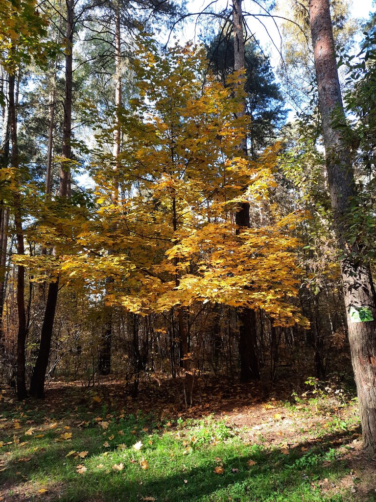 Konut blokları Пролетарский проезд, Moskova ve Moskovskaya oblastı, foto