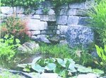 Martin Bücheler, Garten- und Landschaftsbau (Rohrackerstraße No:161, Stuttgart, Stadt Stuttgart), peyzaj tasarımı  Baden‑Wurttemberg'den
