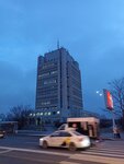 Пирамида (Ordzhonikidze Street No:42), ar-ge şirketleri  Saint‑Petersburg'dan