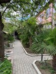 Cvetik Semizvetik (Севастопольское шоссе No:46, посёлок городского типа Гаспра), otel  Kırım Cumhuriyeti'nden