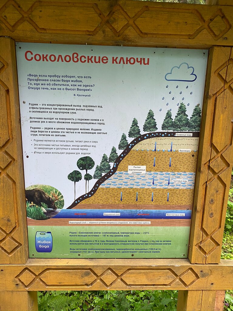 Pınar, çay Соколовские ключи, Novgorodskaya oblastı, foto