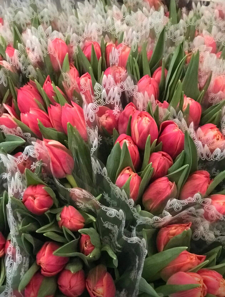 Çiçekçiler Магазин цветов, Moskova ve Moskovskaya oblastı, foto