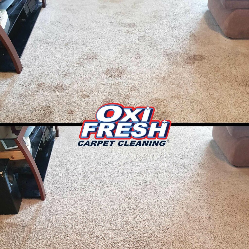 Halı yıkamacılar Oxi Fresh Carpet Cleaning, Baton Rouge, foto