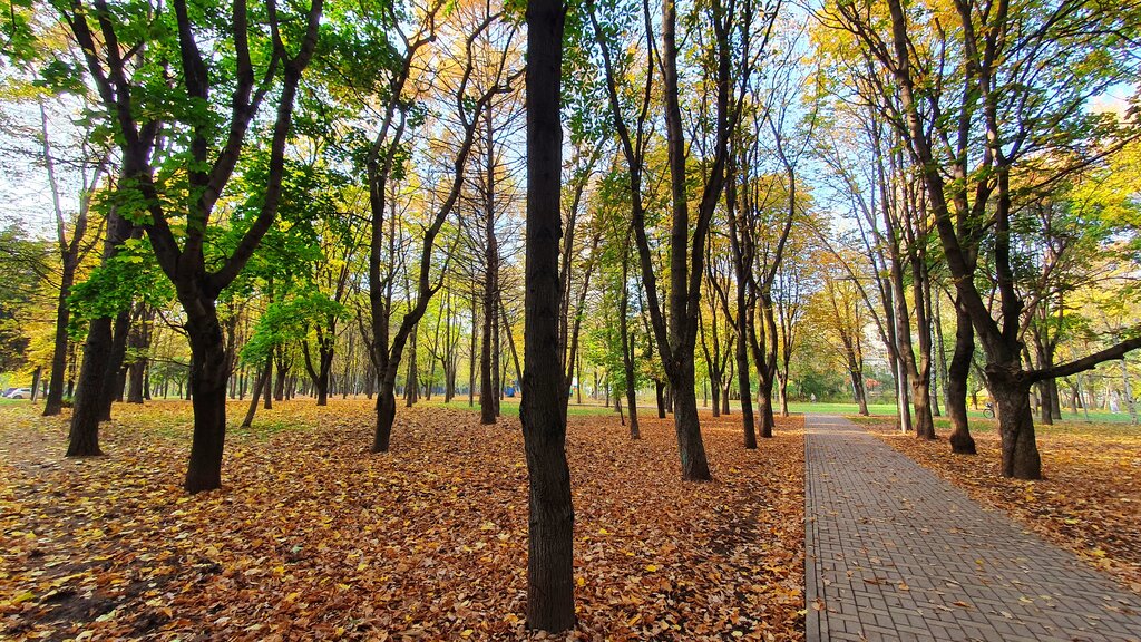 Kültür ve eğlence parkları Davydkovskiy Garden, Moskova, foto