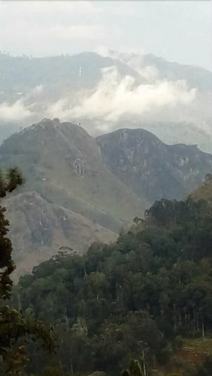 Otel The Lover Stay, , foto