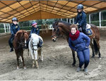Centro Ippico Golden Horses (Rome, Via Ranuccio Bianchi Bandinelli), evcil hayvan yetiştiricileri  Roma'dan