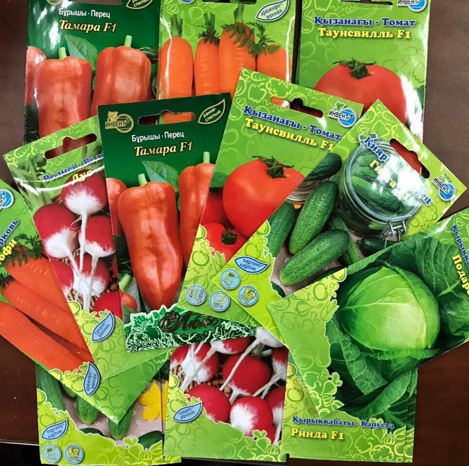 Yönetim ofisi Invent. Kz - Seeds by Post, Kostanay, foto