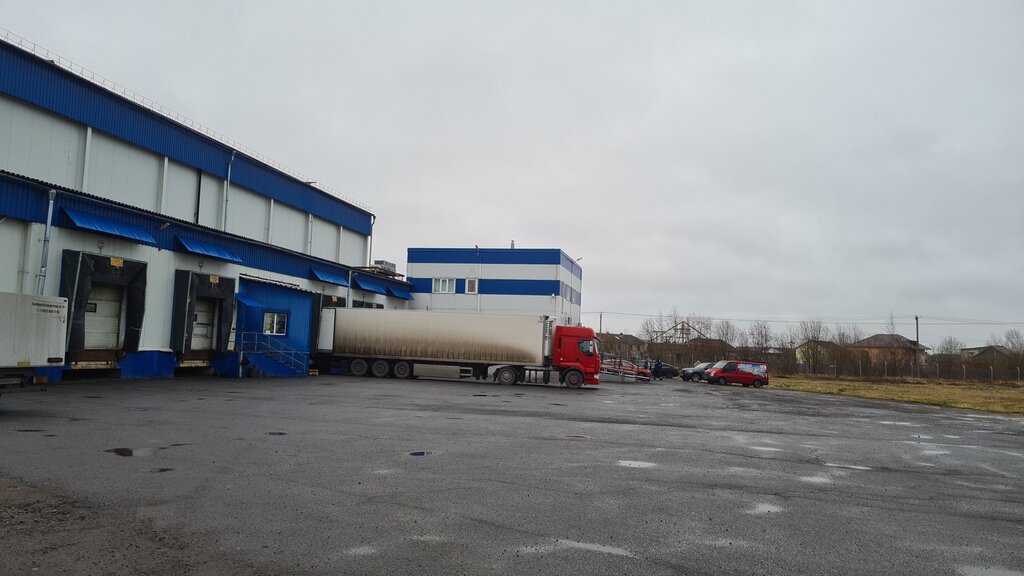 Dondurulmuş gıda firmaları Mega Opt, srlad, Saint‑Petersburg ve Leningradskaya oblastı, foto