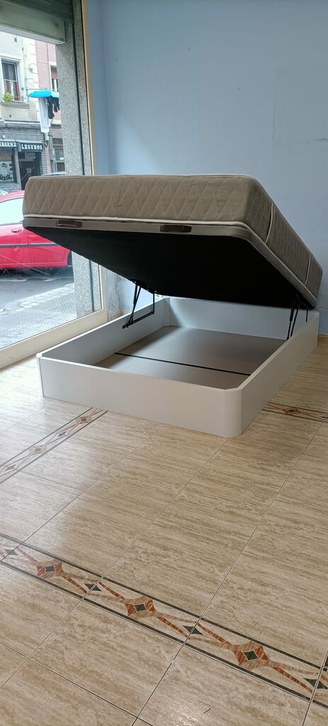 Toplu taşıma yönetimi ve bakımı Recogida Muebles Bilbao - Rastro 2ª Oportunidad, Bilbao, foto