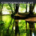 Stressprophylaxe (Nidwalden, Stans), alternatif tıp merkezleri  Stans'tan