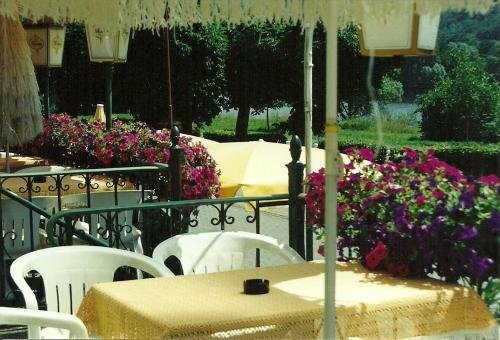 Otel Gasthaus Zur Traube, Renanya‑Palatinate, foto