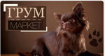 Groom-market (Simferopolsky Boulevard No:16к2), petshop  Moskova'dan