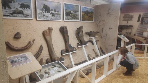 Müzeler ve sanat galerileri Музейно-выставочный центр, Kirovo‑Chepetsk, foto