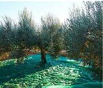 Mallas Agrícolas Famatext (Autonomous Community of Andalusia, Granada, Calle Ganivet, 17), tarım makineleri, ekipmanlar  Endülüs'ten
