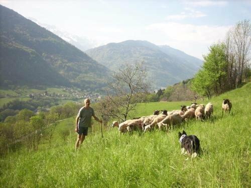 Pansiyonlar, hosteller Ferme Auberge du Bessard, , foto