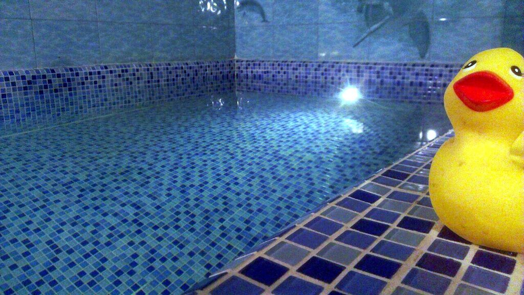 Saunalar Zamulanka, Сауна, Permski krayı, foto