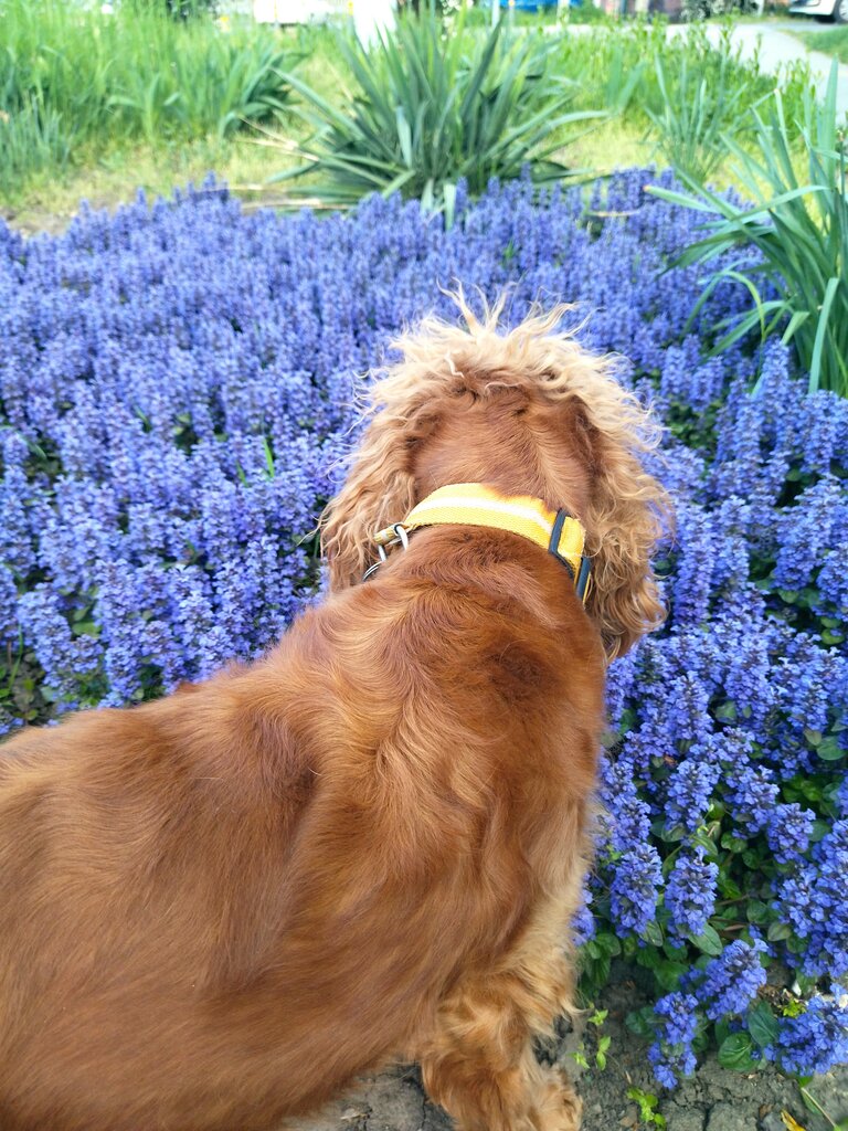 Petshop ЗооМания, Krasnodar, foto