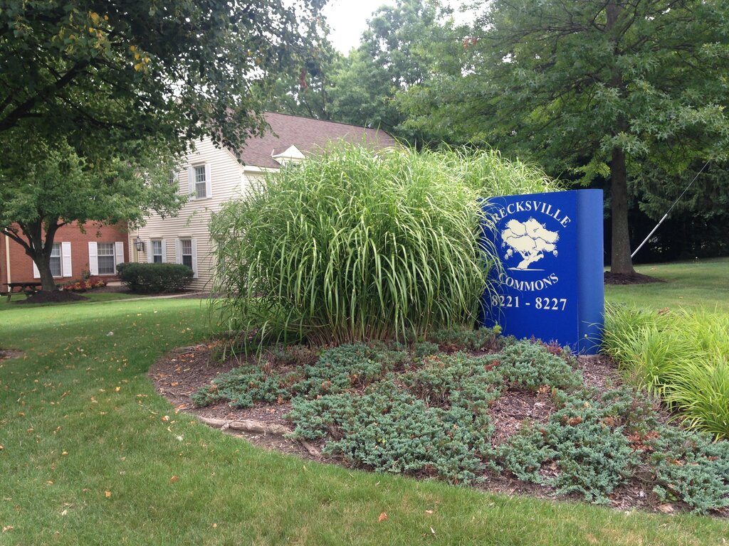 Sigorta şirketleri Sharon Ayers-Seman: Allstate Insurance, Brecksville, foto