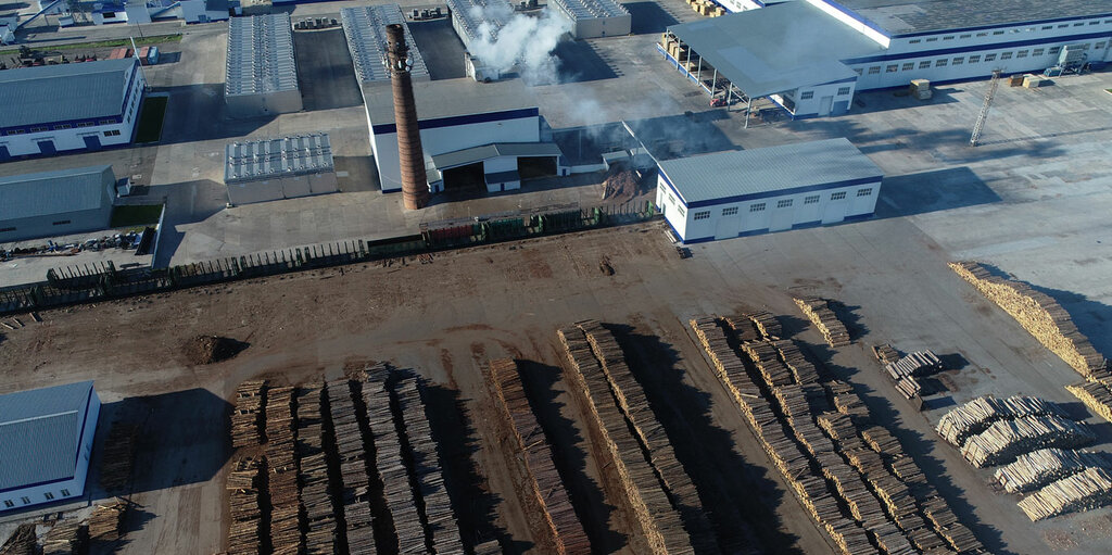 Ahşap endüstrisi New Forest Pro, Habarovski krayı, foto