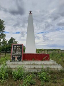Мемориальный комплекс воинам, погибшим в годы Великой Отечественной войны (Altai Territory, Ust-Kalmanskiy rayon, selo Ponomaryovo), anıt, heykel  Altayski krayından