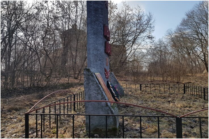 Anıt, heykel Воинское захоронение рядовой А.М. Чикин, Brianskaya oblastı, foto