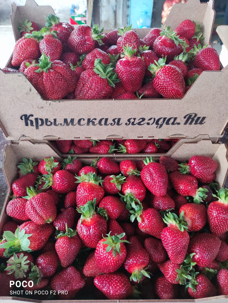 Pazarlar ve çarşılar Николаевский рынок, Kırım Cumhuriyeti, foto