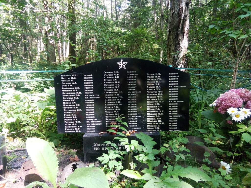 Anıt, heykel Братская могила, Kalujskaya oblastı, foto