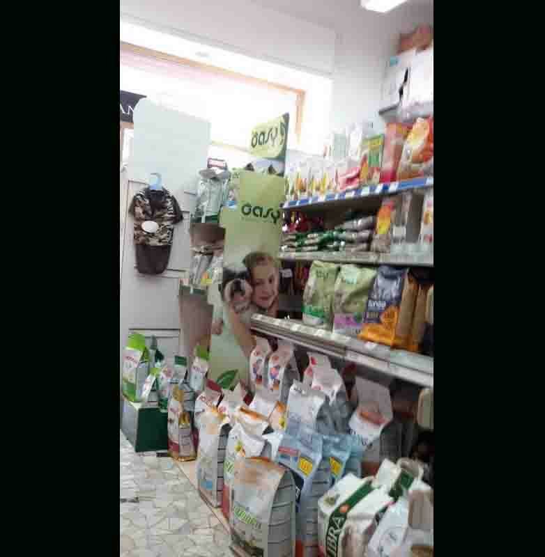Petshop Puppy Dog, Formia, foto