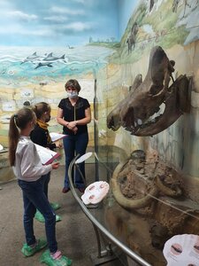 Museum of nature (Mira Street No:19, Vladimir), müzeler ve sanat galerileri  Vladimir'den