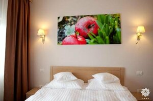 Leon Hotel & SPA (Arad, Arad), otel  Dünya'dan
