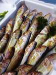 Pescheria Milu' Pesca (Campania, Province of Naples, Giugliano in Campania, Corso Campano), balık çiftçiliği ve toptancıları  Varcaturo'dan