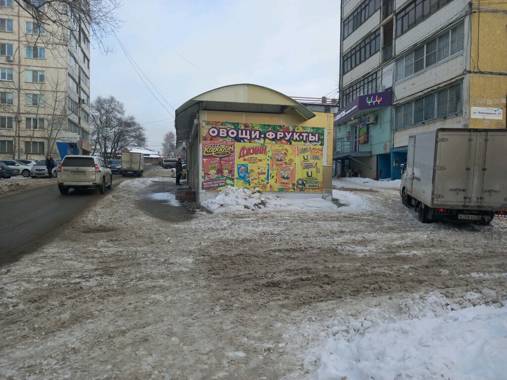 Manavlar Томат Петрович, Habarovsk, foto