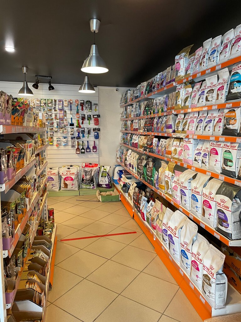Petshop Кошки, Kazan, foto
