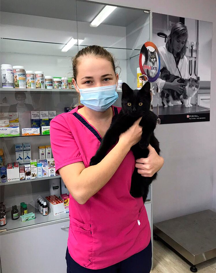 Veteriner klinikleri Zoo-vethelp, Moskova, foto