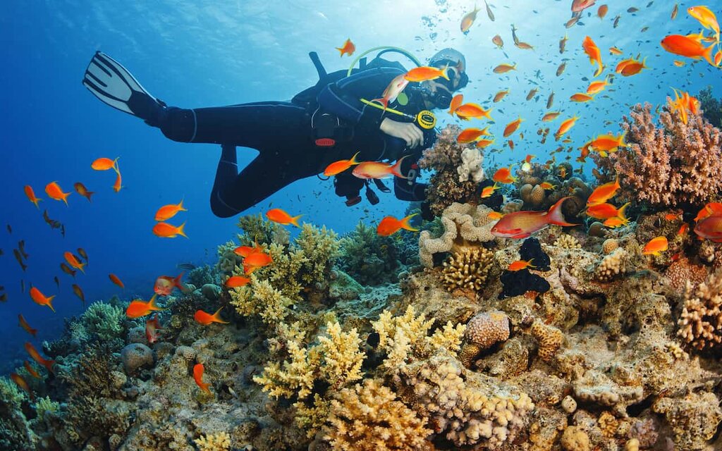 Tekne, kayık, yat Excursions in Sharm El Sheikh, Şarm El‑Şeyh, foto